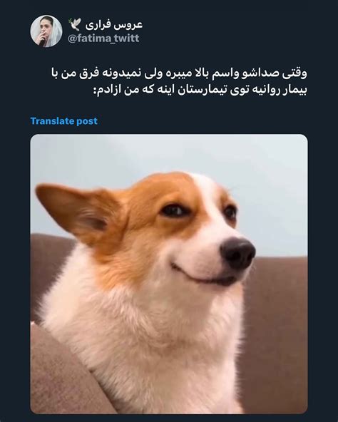 Fatimatwitterinstagram On Pinno بیا تو جمعمونfatimatwitter