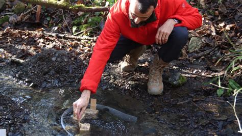 ბაწარა ბაბანეურის დაცული ტერიტორიების მდინარეები ნაკადულის კალმახის 60 000 ქვირითით დათევზიანდა