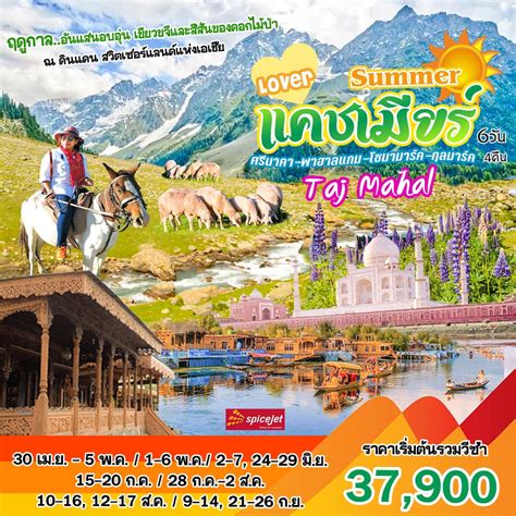 Summer Lover แคชเมียร์ ฤดูกาลอันแสนอบอุ่น ความเขียวขจีและสีสันดอกไม้ป่า