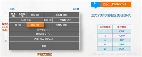 网络协议分析 ip协议分析（分片与重组）详细 网络层 ip协议 ip包的解析、校验、分片与重组 csdn博客