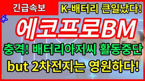 에코프로비엠 2차전지 대장주 에코프로🔥긴급속보배터리아저씨 활동중단선언 K 배터리 우짜노ㅠ 그러나 2차전지는 영원하다 포스코퓨처엠 포스코홀딩스 삼성sdi 박순혁이사