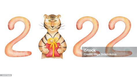 수채화 일러스트 핸드 페인팅 번호 2022 와 흰색에 고립 된 빨간색 선물 상자와 큰 호랑이 새해 기호 0명에 대한 스톡 벡터 아트 및 기타 이미지 Istock