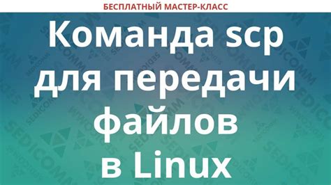 Linux中的scp命令传输文件