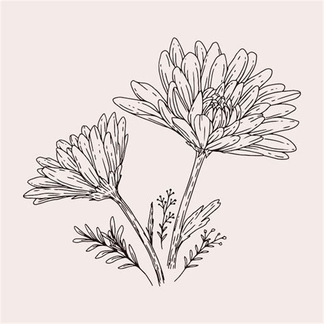 손으로 그린 데이지 개요 그림 무료 벡터