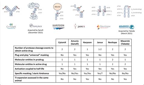 T Cell Engaging Antibodies For The Treatment Of Solid Tumors