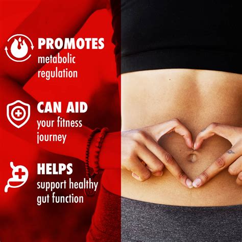 Berberine Plus — Dr Emil Nutrition