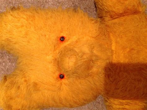 Teddy Bear Collectors Weekly
