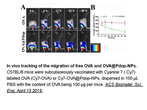 美国apexbio中文官网 Cy7 Nhs Ester Mark Biological Molecular Amino