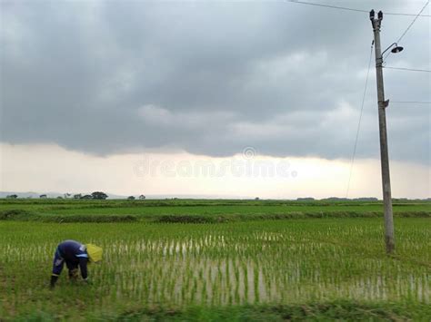 A Picture Day Afternoon Which A Very Beautiful View Editorial