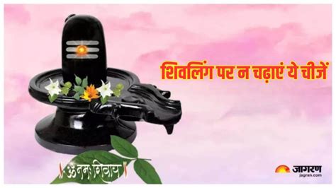 Shivling Puja सोमवार को शिवलिंग पर भूलकर भी अर्पित न करें ये चीजें