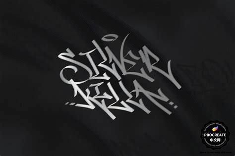 202412191647233 Procreate中文网