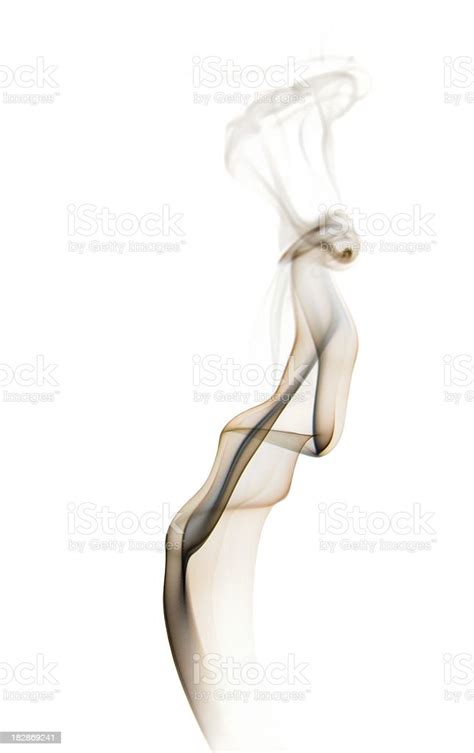 흡연합니다 추상적임 디자인식 흰색 배경 갈색에 대한 스톡 사진 및 기타 이미지 갈색 공란 날기 Istock