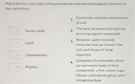 Match The Four Main Types Of Macromolecules Relevant To Biological