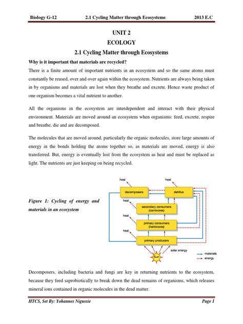 G 12 Biology 2 1 Cycling Matter Through Ecosystems Pdf Ecosystem