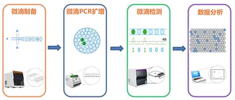 微液滴数字pcr平台深圳博兴生物科技有限公司官网