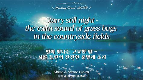 [healing Asmr] 별이 빛나는 고요한 밤 시골 들판의 잔잔한 풀벌레 소리 Youtube