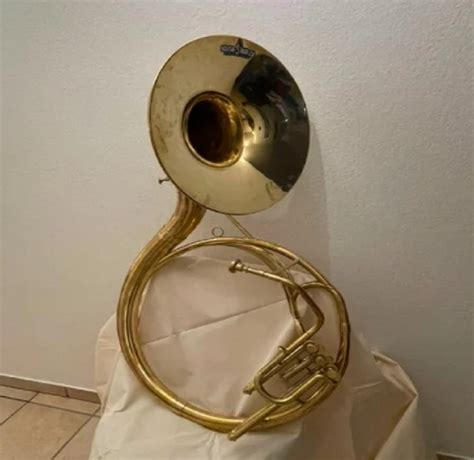 Musical Instruments 16 Inch Brass Golden Sousaphone At ₹ 18500piece In New Delhi