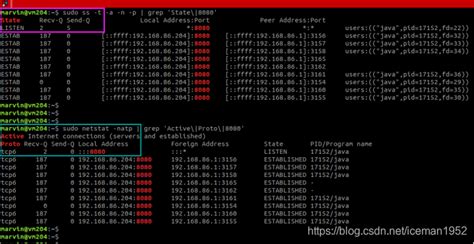 Netstat 和 Ss中，recv Q和send Q的含义netstat Recv Q Csdn博客