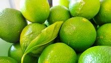 Limes For Sale Free Stock Photo - Public Domain Pictures