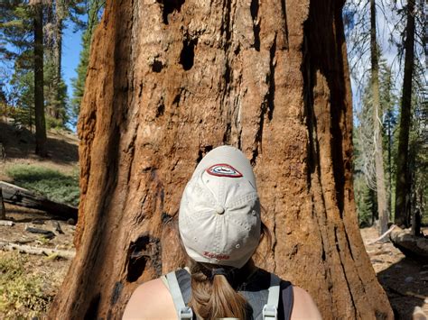 One Day In Sequoia National Park 7 Cant Miss Things To Do