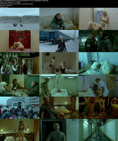 Import Export Rarelust