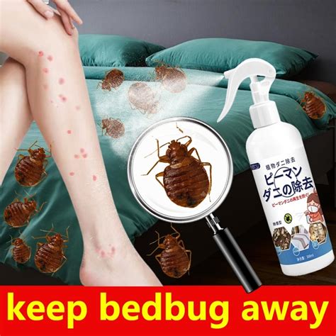 No More Bed Bugs Bed Bug Spray Killer Bed Bug Killer Anti Dust Mite