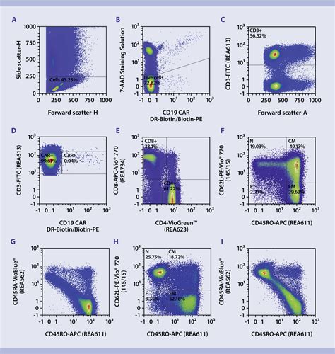 Immunophenotyping CAR T Cell Persistence And Differentation