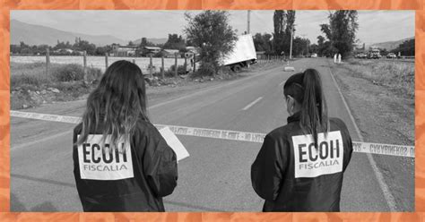 Qué Es Ecoh Equipo Contra El Crimen Organizado Y Homicidios