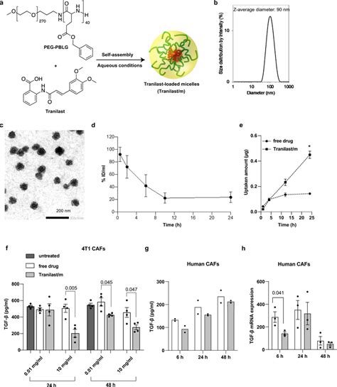 Characterization Of Tranilast Loaded Micelles A Schematic Of