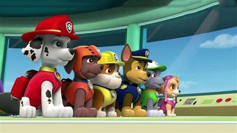 偶得两只神兽 电子工程专辑