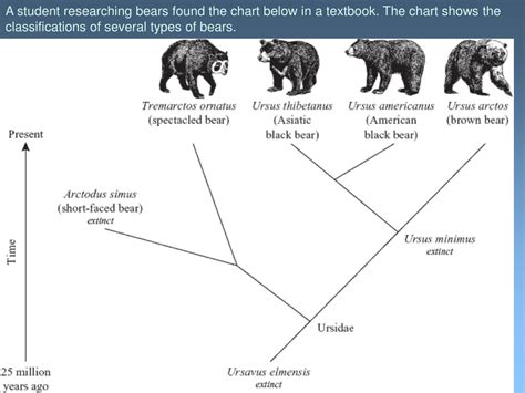 Ppt Understanding Organism Classification Taxonomy And Evolution