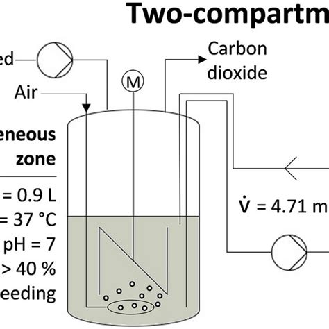 Schematic Overview Of The Utilized Bioreactor Setups For Download Scientific Diagram