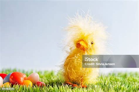 부활제 Chick 및 사탕 에그스 On 잔디 0명에 대한 스톡 사진 및 기타 이미지 0명 4월 개체 그룹 Istock