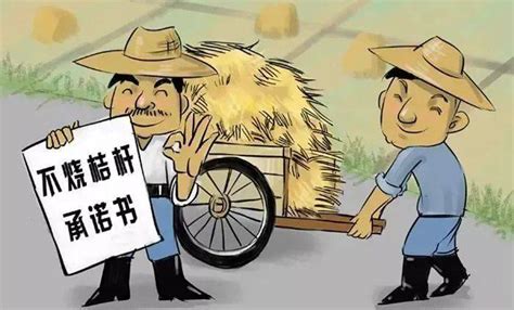 【环保科普】秸秆禁烧，防患未 燃”习近平烟雾影响