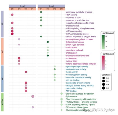 基因家族分析05 序列比对以及进化树的构建和可视化 知乎