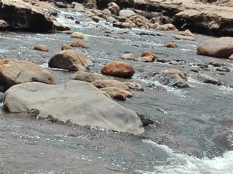 මීදුම 2020