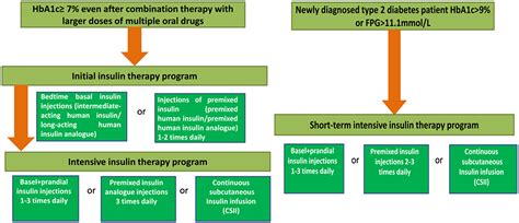 Standards Of Care For Type 2 Diabetes In China Weng 2016 Diabetes