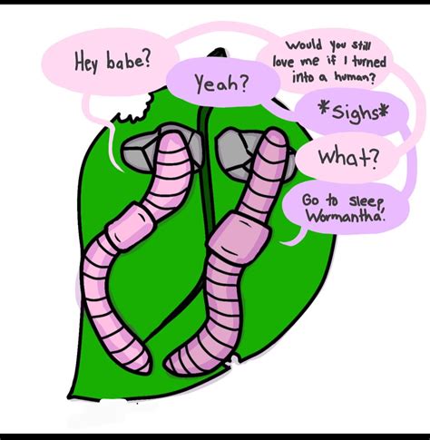 Insert Something Clever Rshowthistoaloona