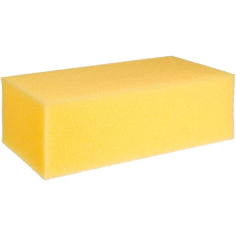 Big Sponge
