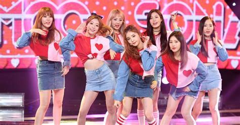 사진 소나무 매력이 팡팡