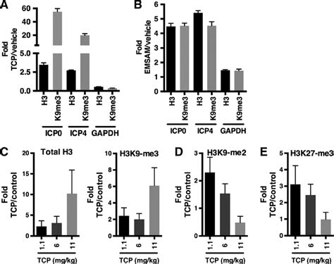 Inhibition Of Lsd1 Results In Enhanced Epigenetic Suppression Of Hsv 1