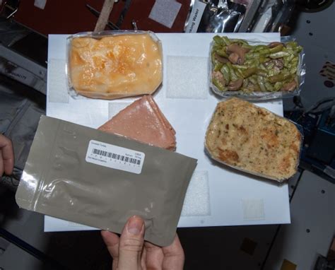Nasa Food Menu