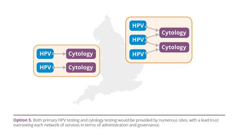 Deciding How Best To Roll Out Hpv Testing As The Primary Cervical