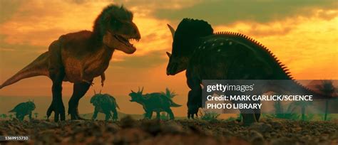Dinosaurs Triceratops Vs T Rex