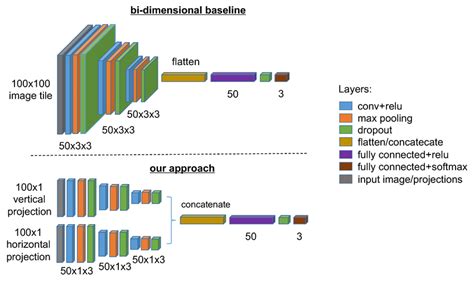Cnn Models Architectures Bi Dimensional Baseline And The Proposed
