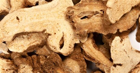 Atractylodes Rhizome Atractylodes Macrocephala Top Quality Herbs And Tinctures