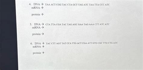 Use Your Codon Chart To Determine The Amino Acid Chegg