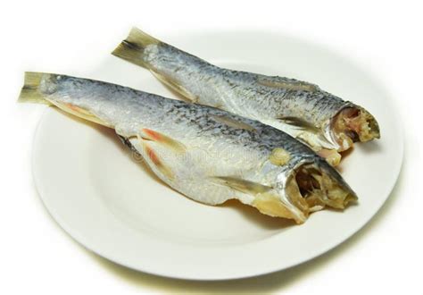 Pescados Salados De Los Arenques Foto De Archivo Imagen De Horizontal