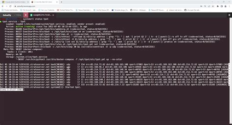 After Successful Installation Containers And Tpot Are Switching Between