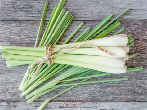 Para Que Sirve El T De Hierba De Lim N